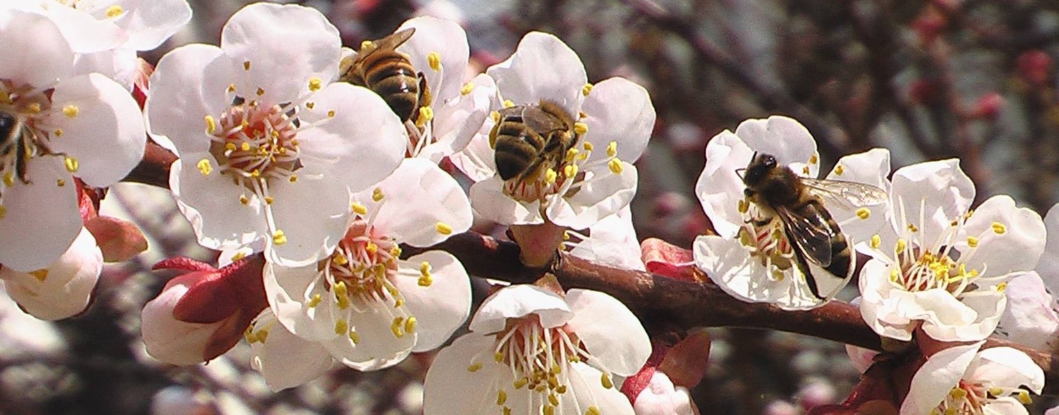 С ДНЁМ РОЖДЕНИЯ ВСЕ channel31464287