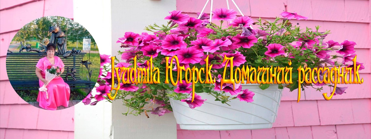 ღ Кулинарим с Людмилой. и Домашний рассадник. ღ