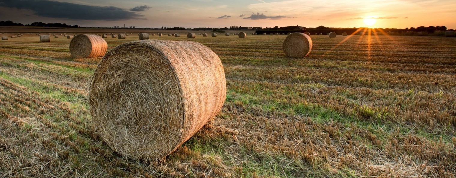 ООО "Универсал Агромаркет" Респ.Башкортостан