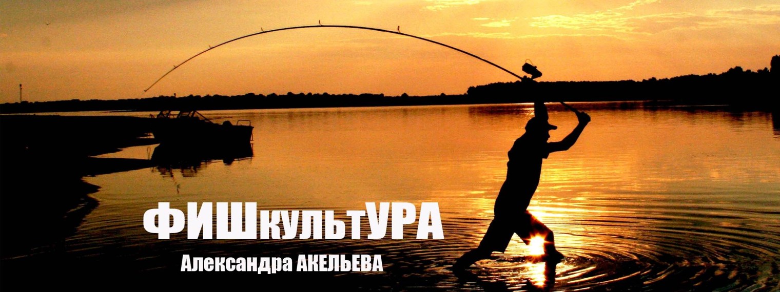 АКЕЛЬЕВ Александр channel29455208