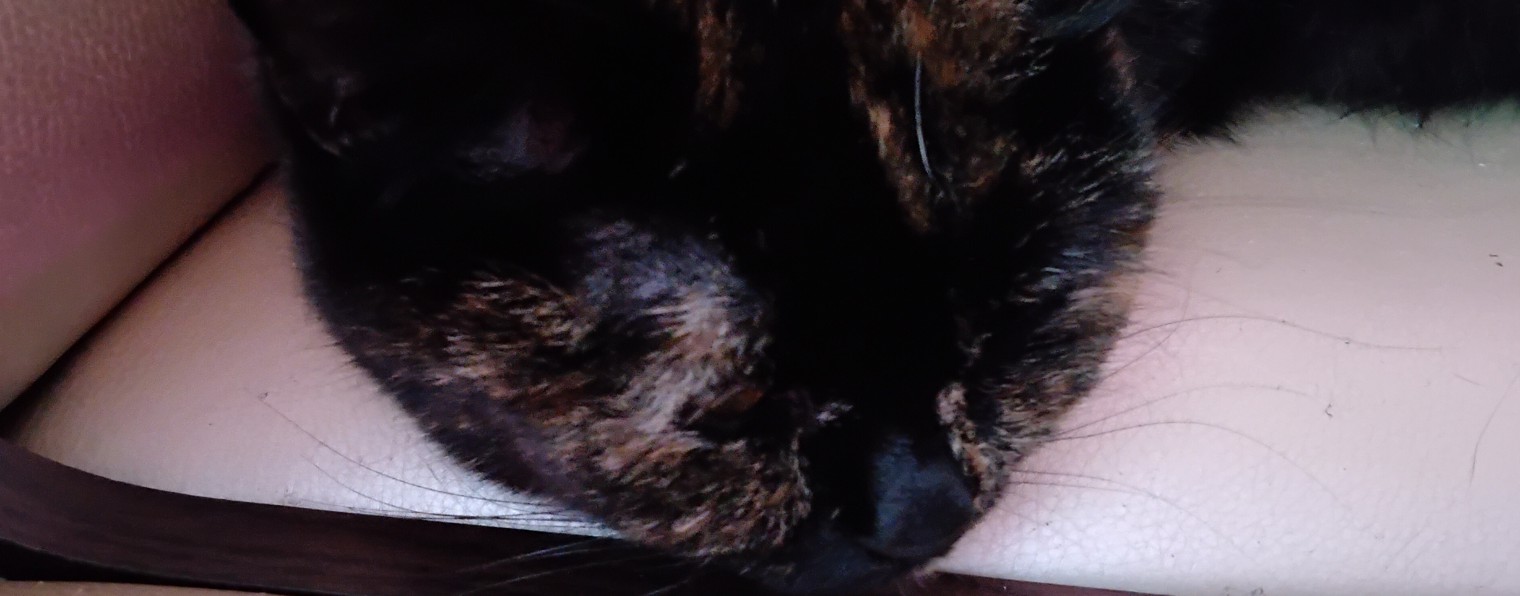 Ваня обзоры