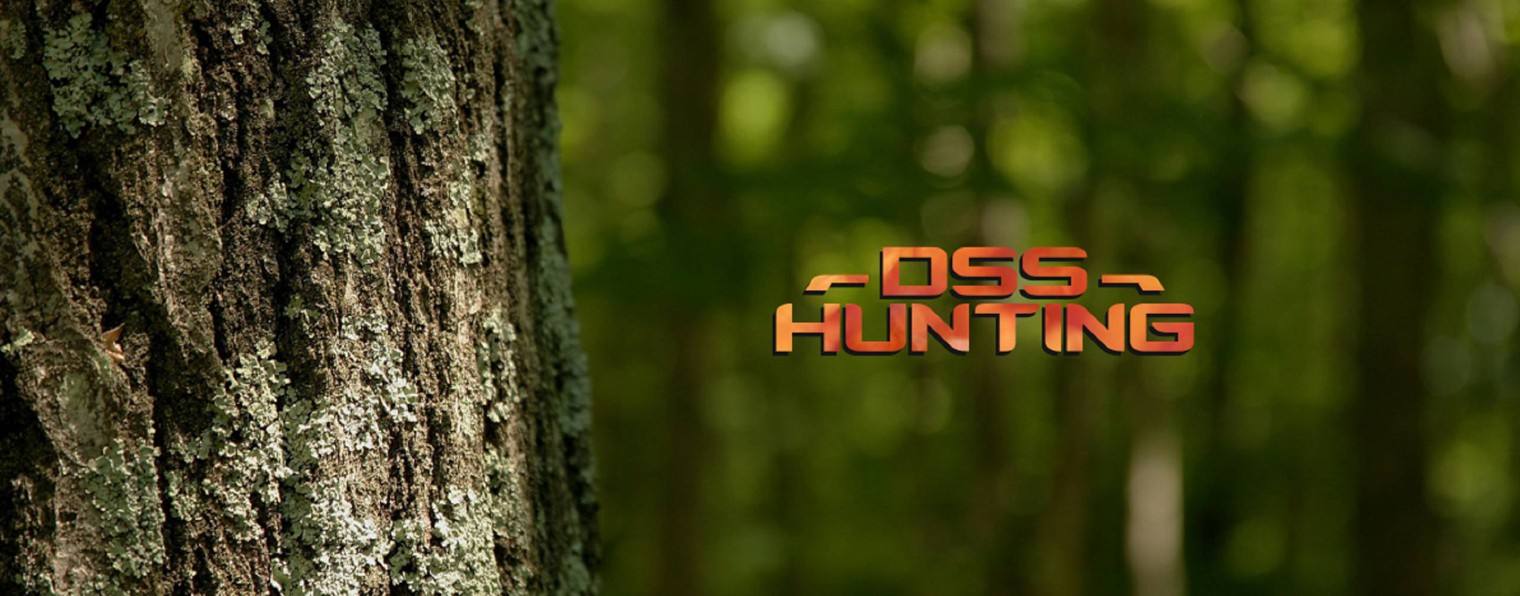 DSS Hunting
