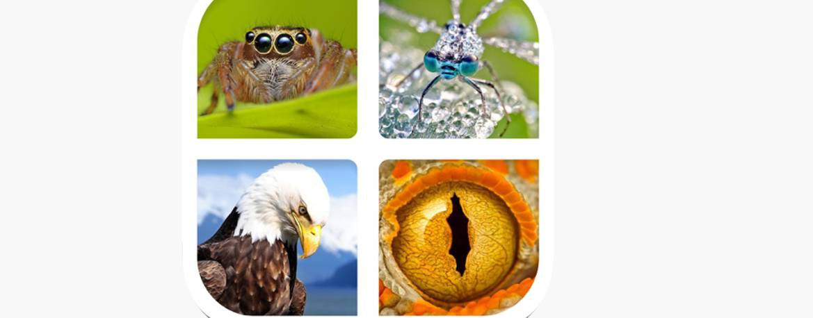 ЗОРКИЙ ГЛАЗ