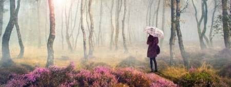 Алёна Сашина