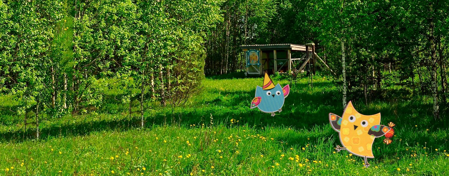 Саша-Бочёк