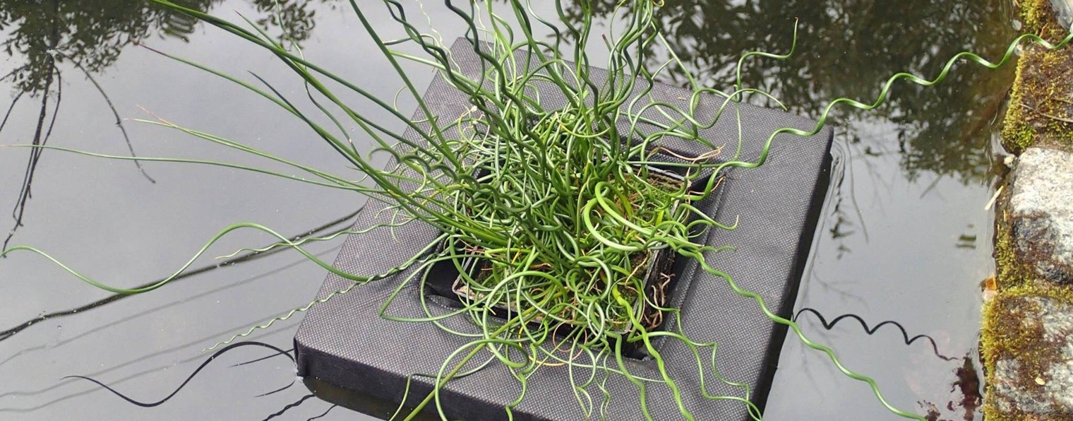 ГреттаСеменаПрофи