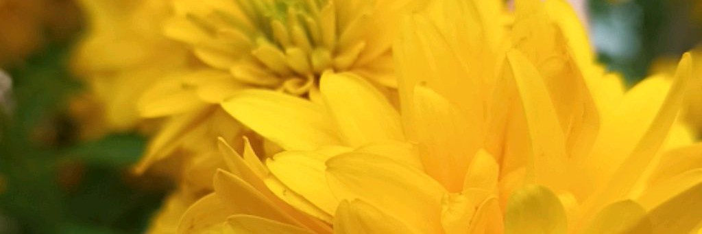 Живу смеясь, зарабатываю не напрягаясь!