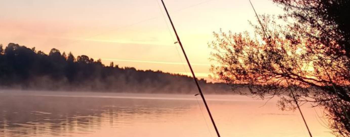 ILYA FISHING
