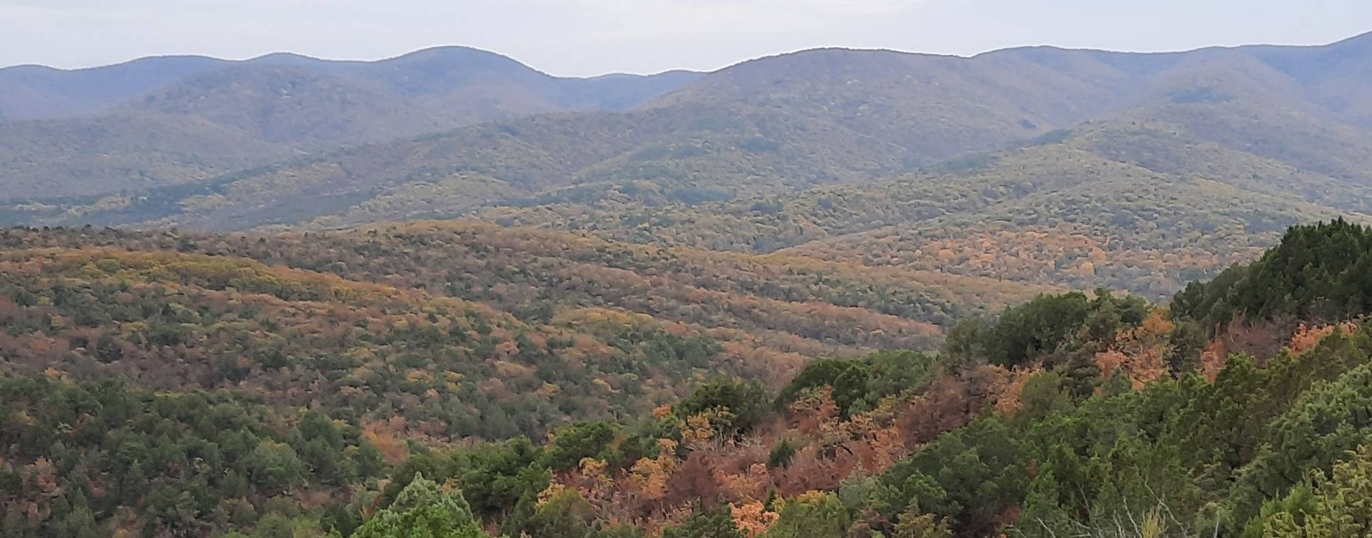 Хроники Анапского аборигена.