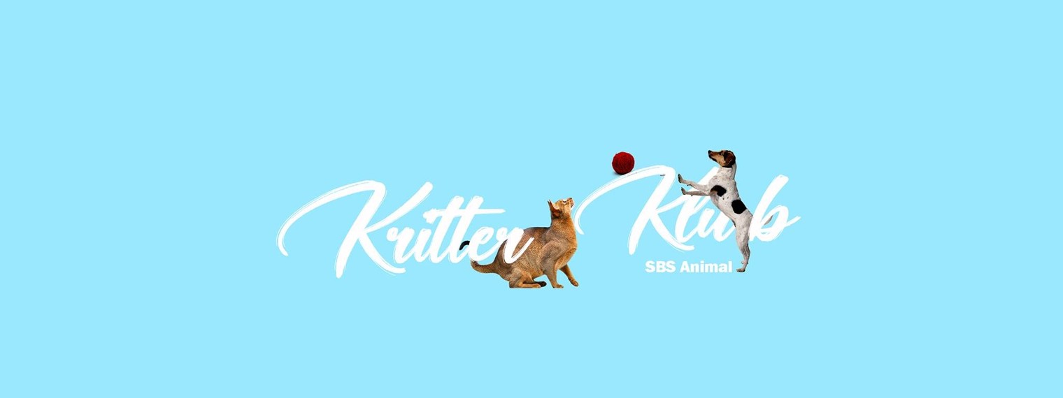 Kritter club на русском