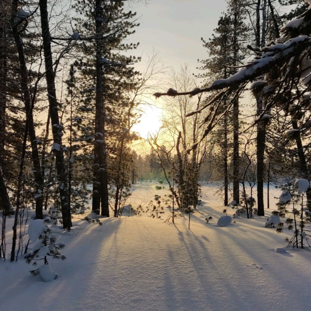 Северный Охотник