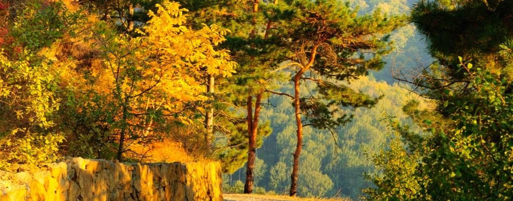 Синьков Виктор