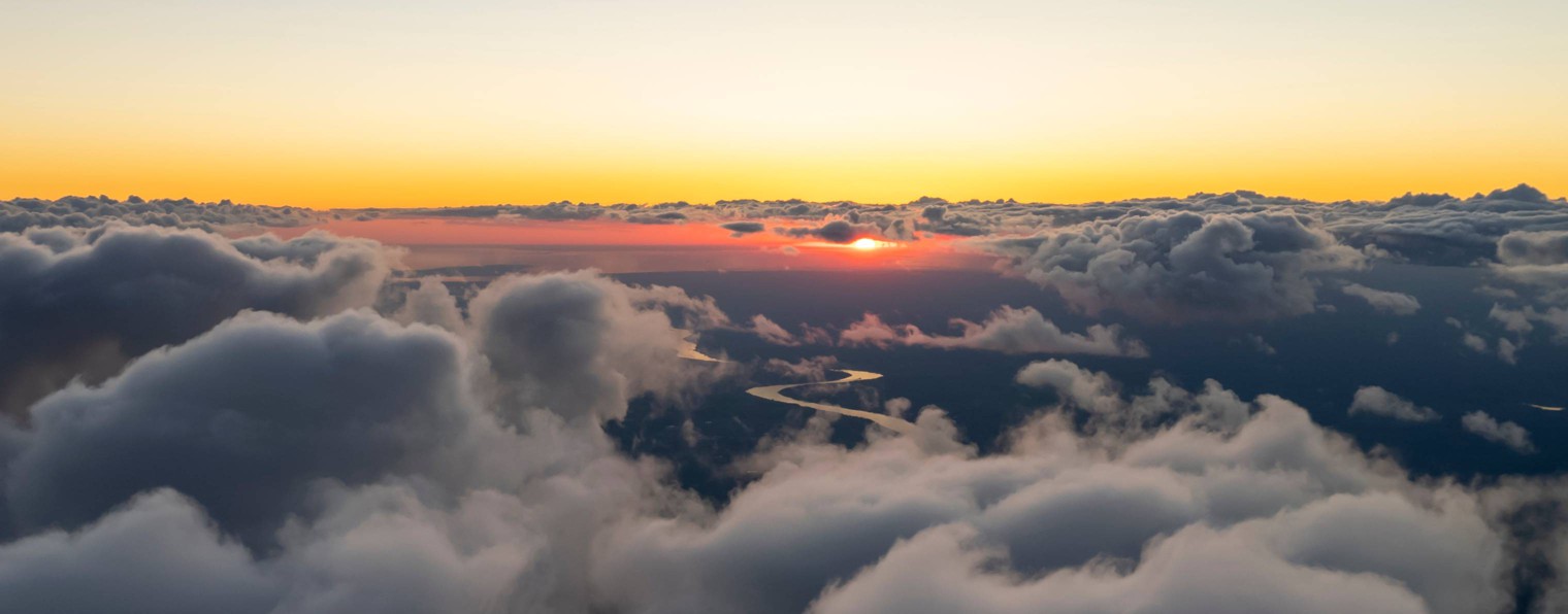 Вояж проходимца