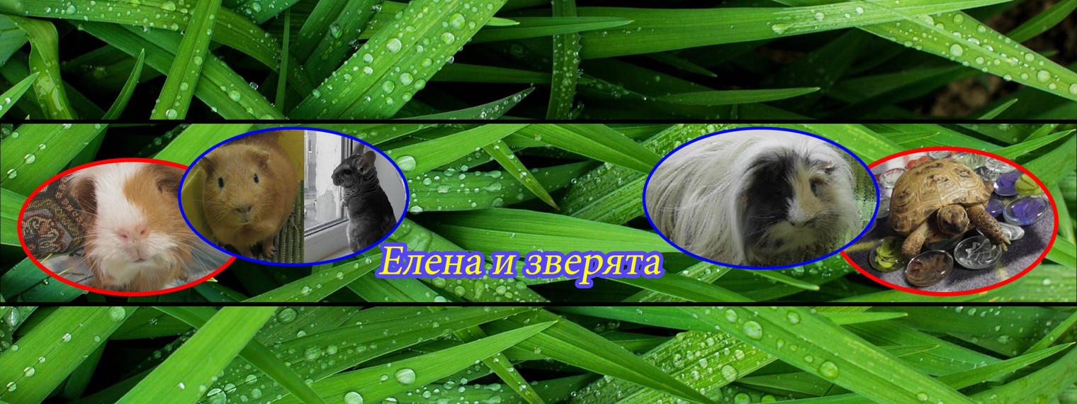 ЕЛЕНА И ЗВЕРЯТА