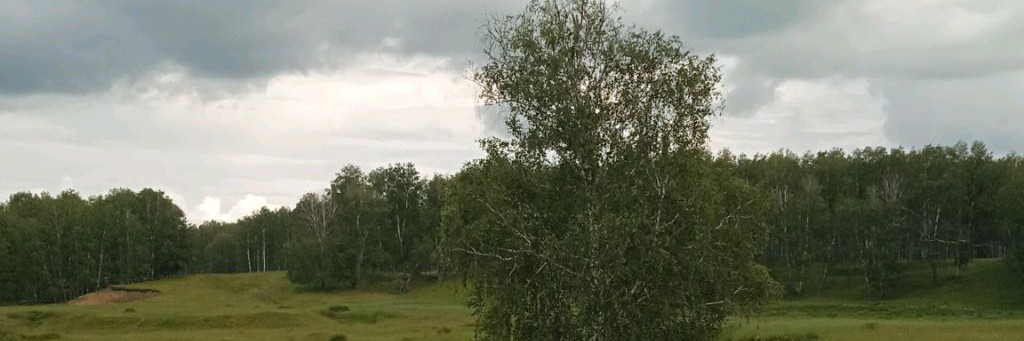 Kolhoz Entertainment