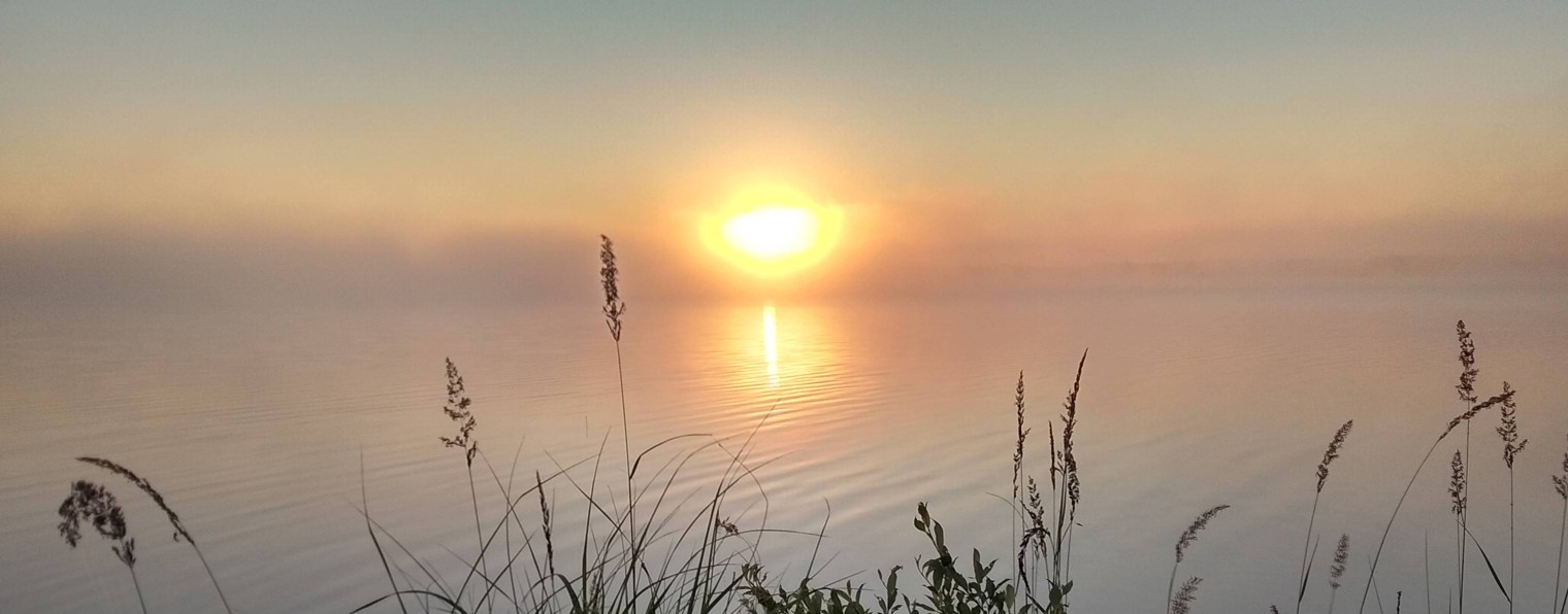 Вадим Алешин