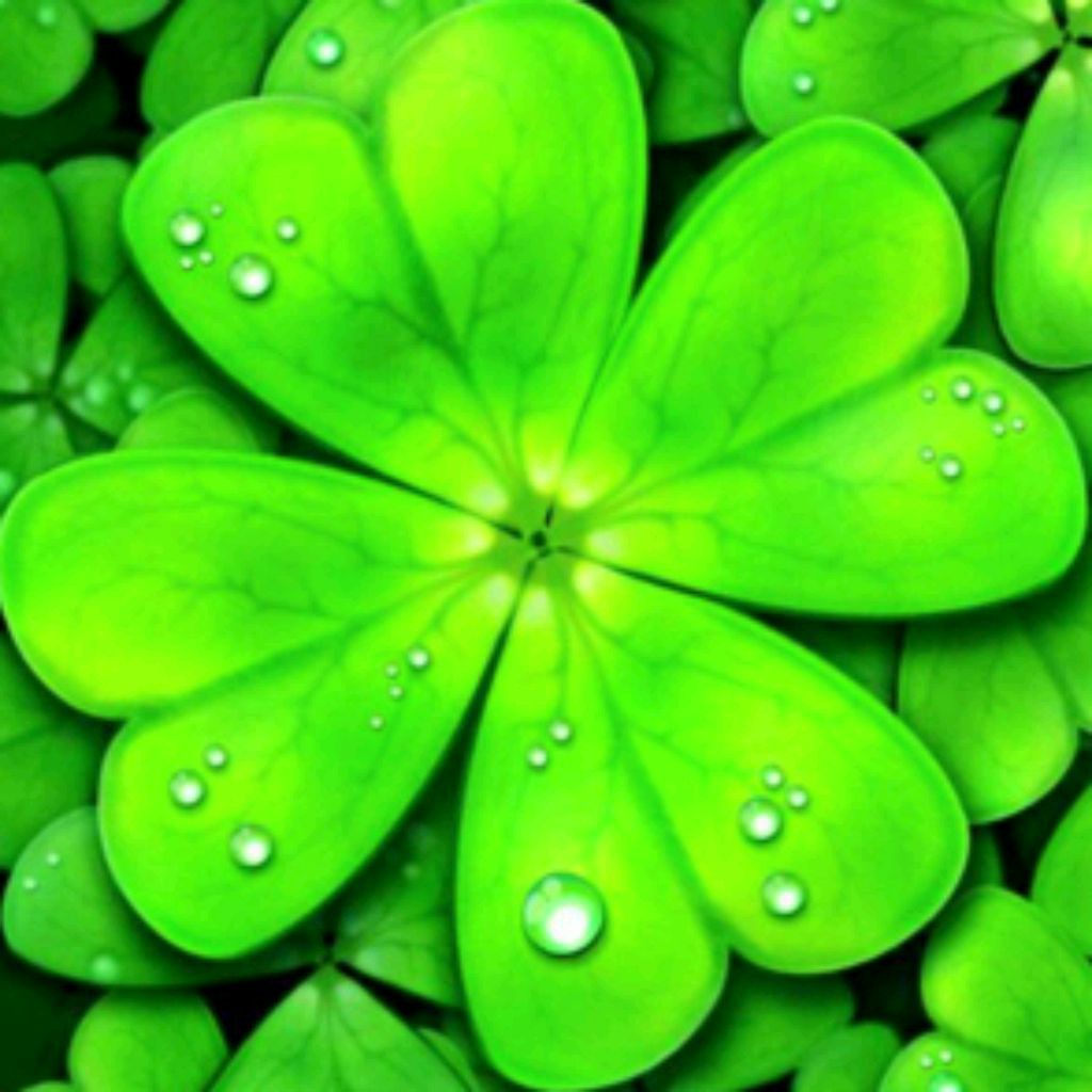 Юльчик всё обо всё и не только