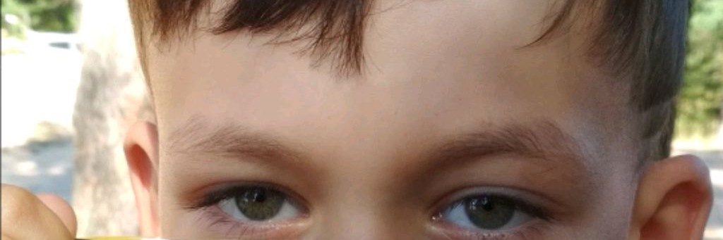 СТЁПА ЯГОДА