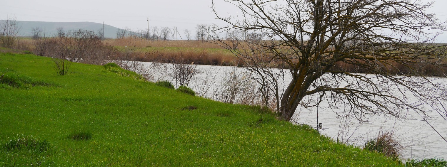 Мои рыбалочки.
