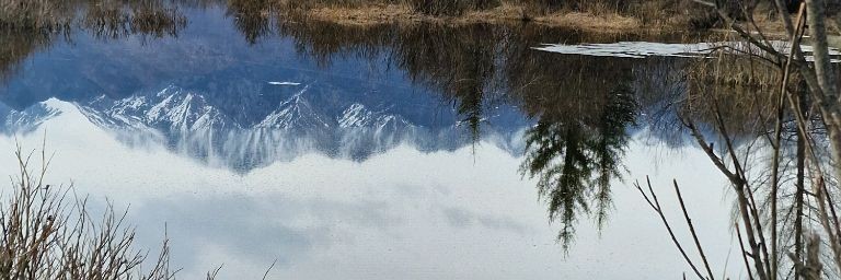 Ольга Нифонтова