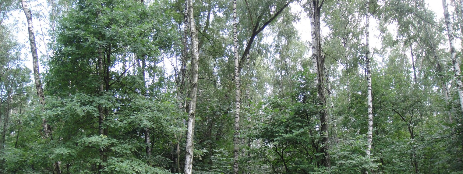 Татьяна Азина