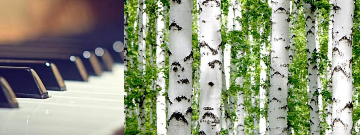 Виталий Кошкин