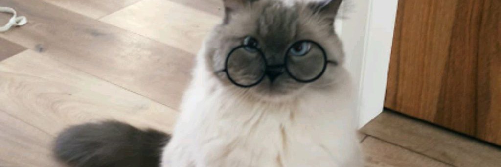 Марселька games rutube😺