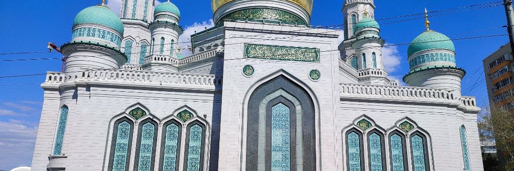 Пойдём покажу