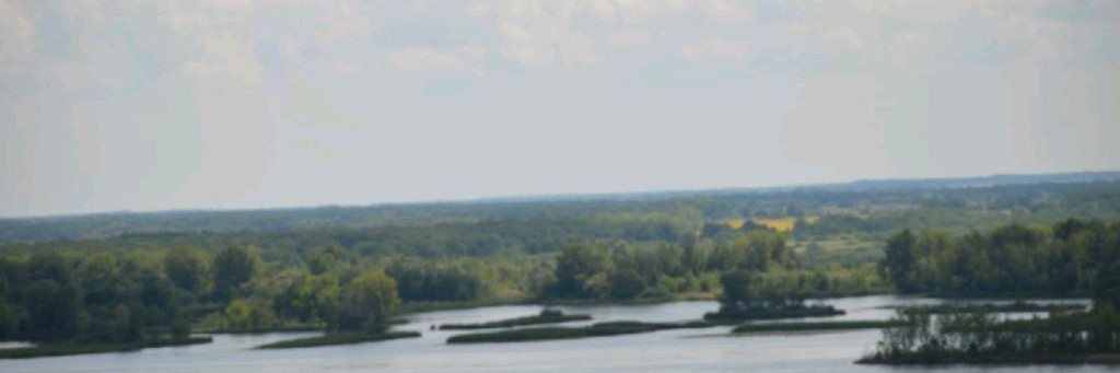 Саныч  Леший Лесной