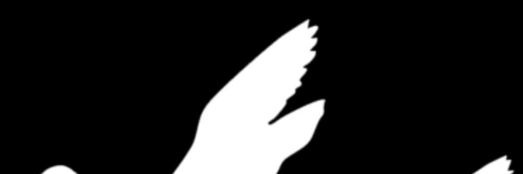 Максим Кислицын