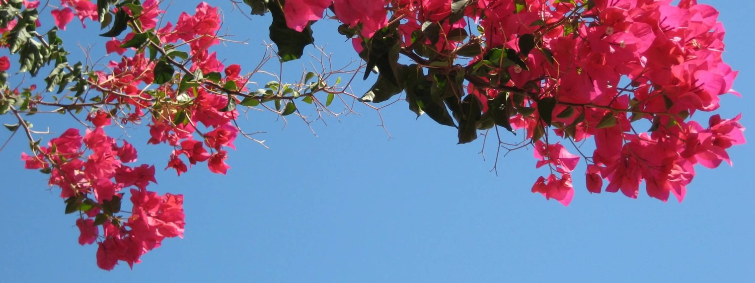 signorinaMalina ОхотаЖить