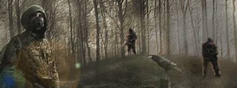 Shadow War
