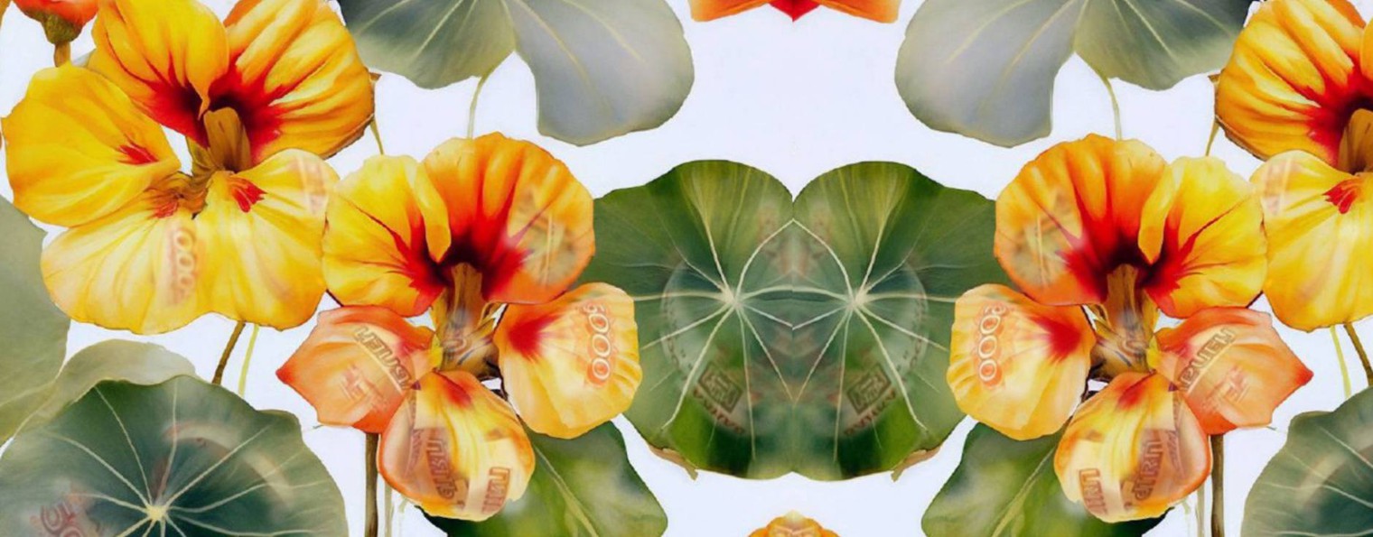 Nasturzia | денежный сад с Анастасией Измоденовой