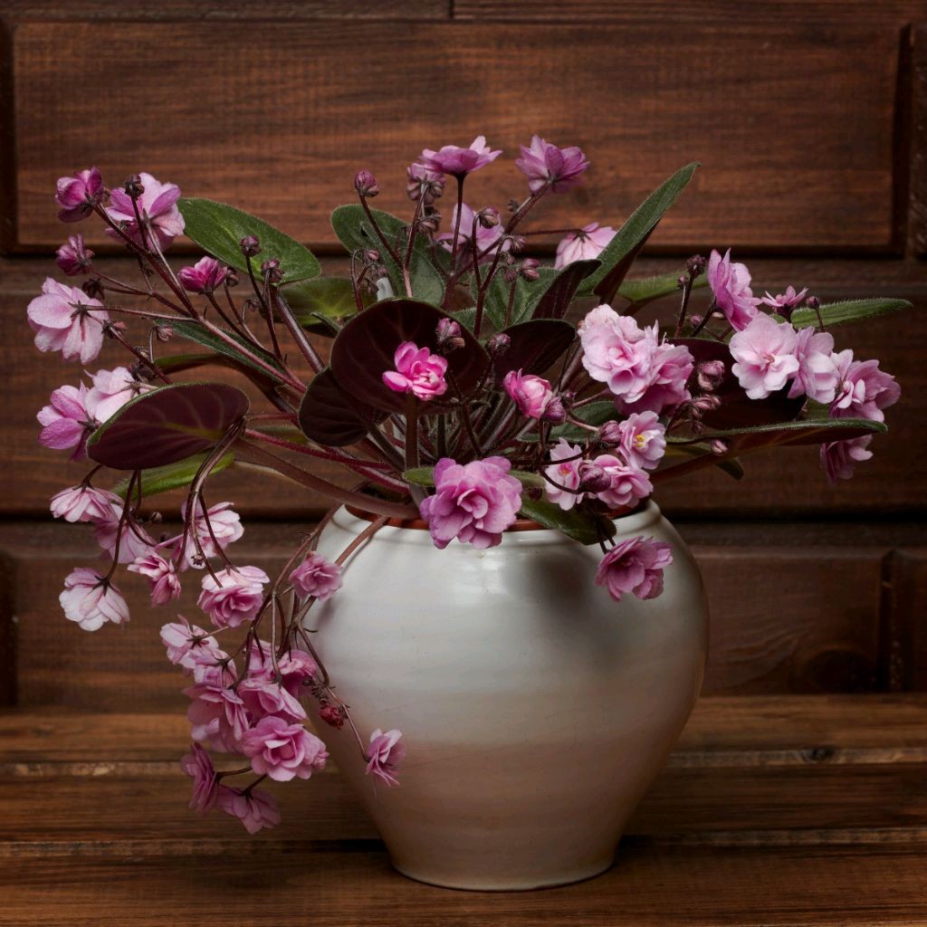 Хобби для счастливой жизни