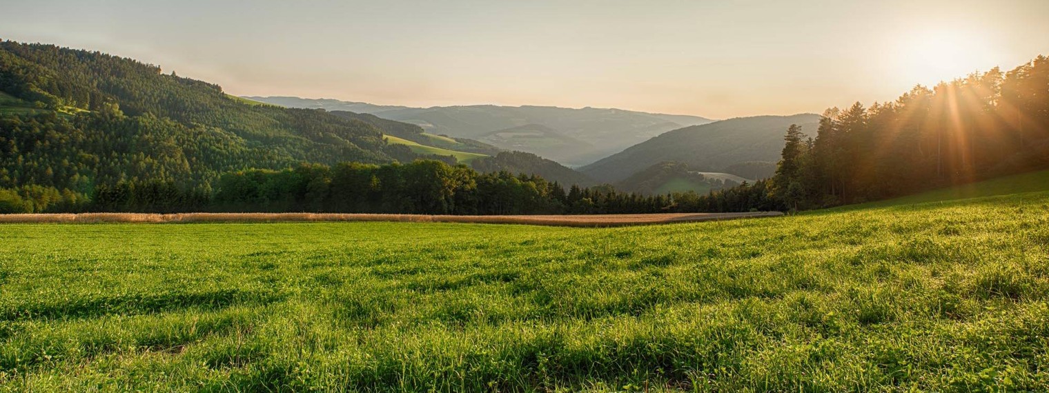 АстионенКО