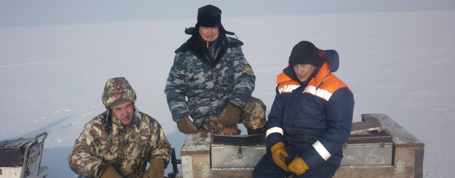 Старый воин