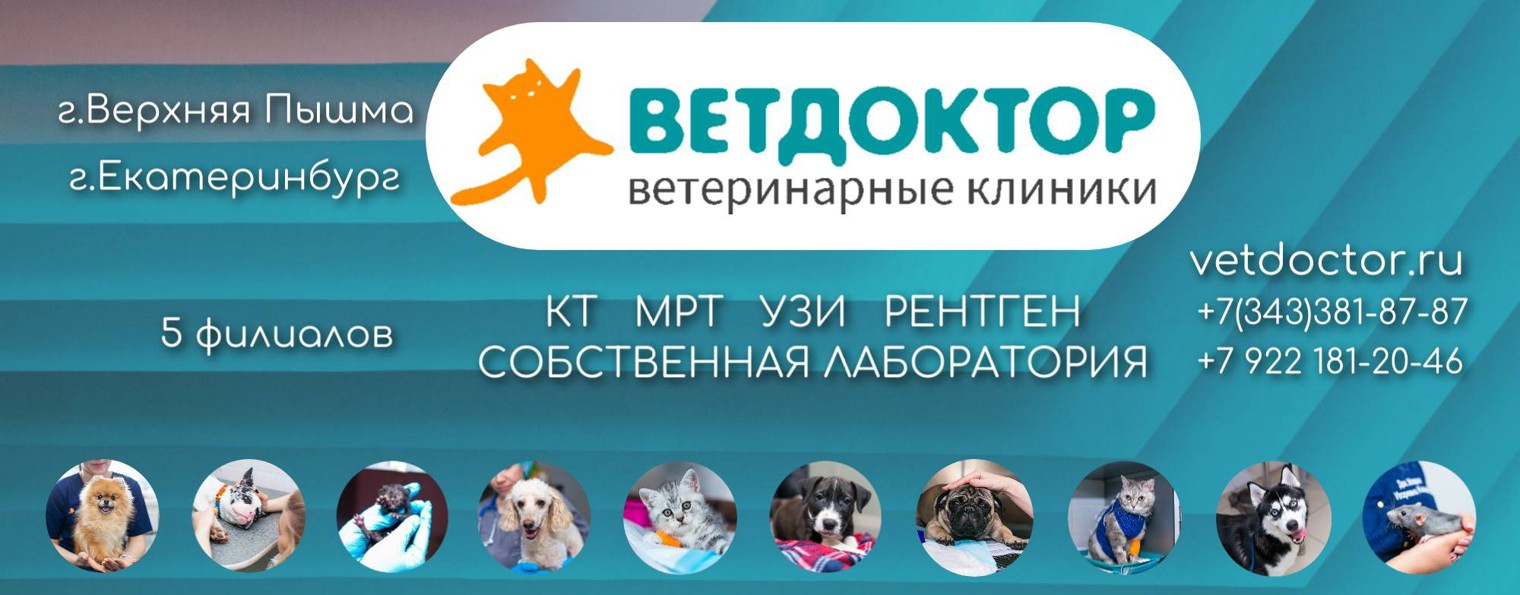Ветдоктор - ветеринарная клиника. г.Екатеринбург