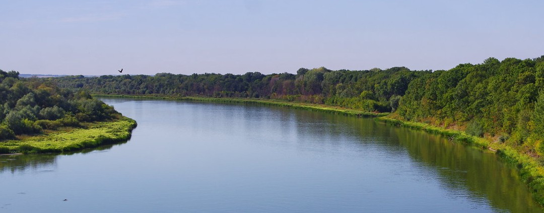 Сталинград сервис