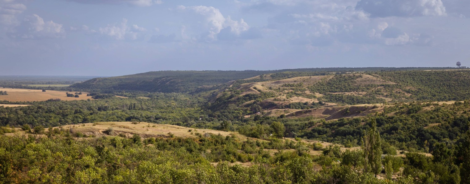 КИНО ДЛЯ УМНЫХ