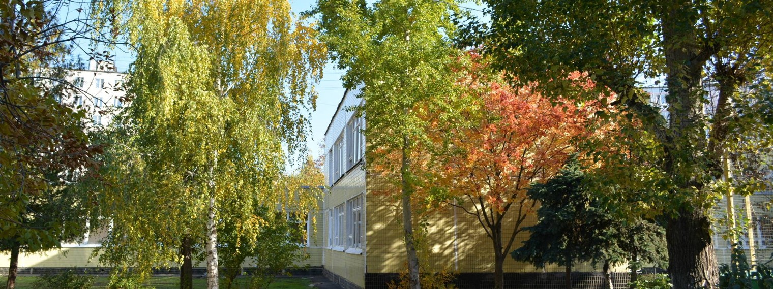 Вальдорфская школа "Семейный лад"