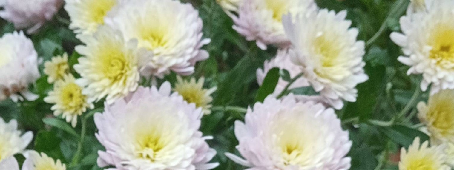 Жизнь в деревне