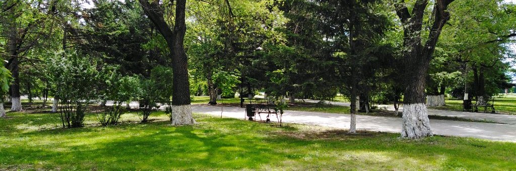 Вадим Хитцов