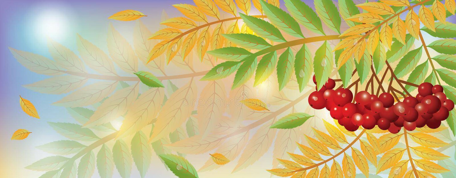 Детский сад № 3 Рябинка (п.Белоярский)