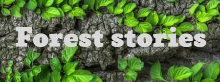 Forest Stories