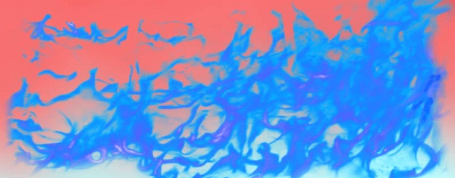 🔥🍃🐾CHARRY KARACAL🐾🍃🔥