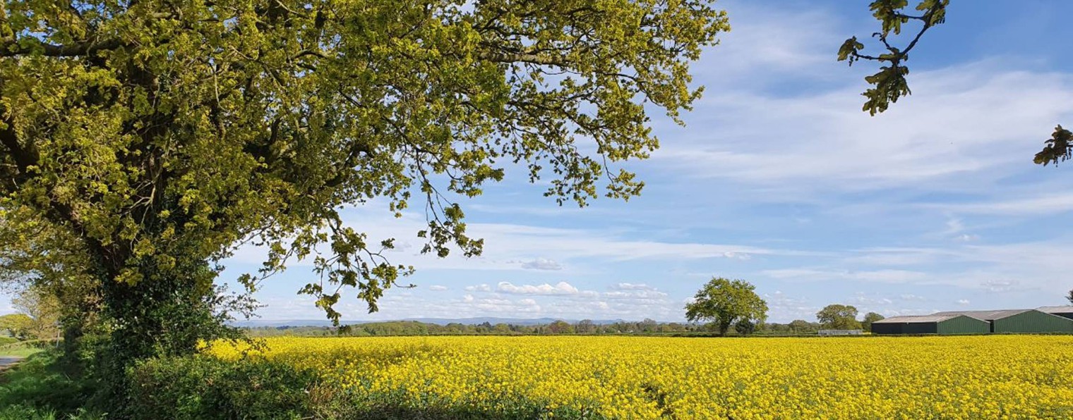 Англия моими глазами.