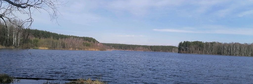 Чудеса вокруг нас