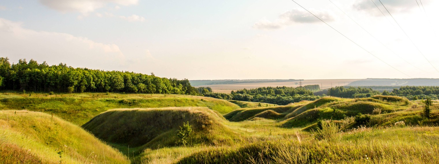 RC Крылатые Пингвины