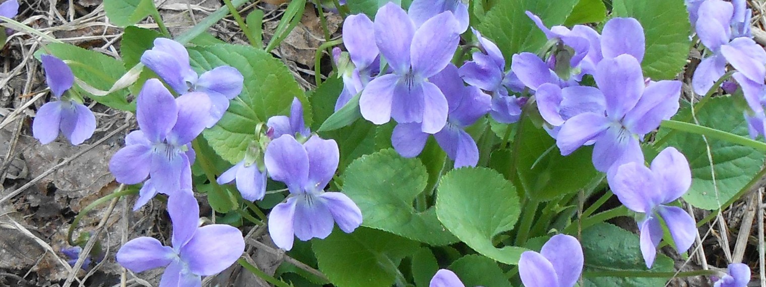 Светлана Гунько