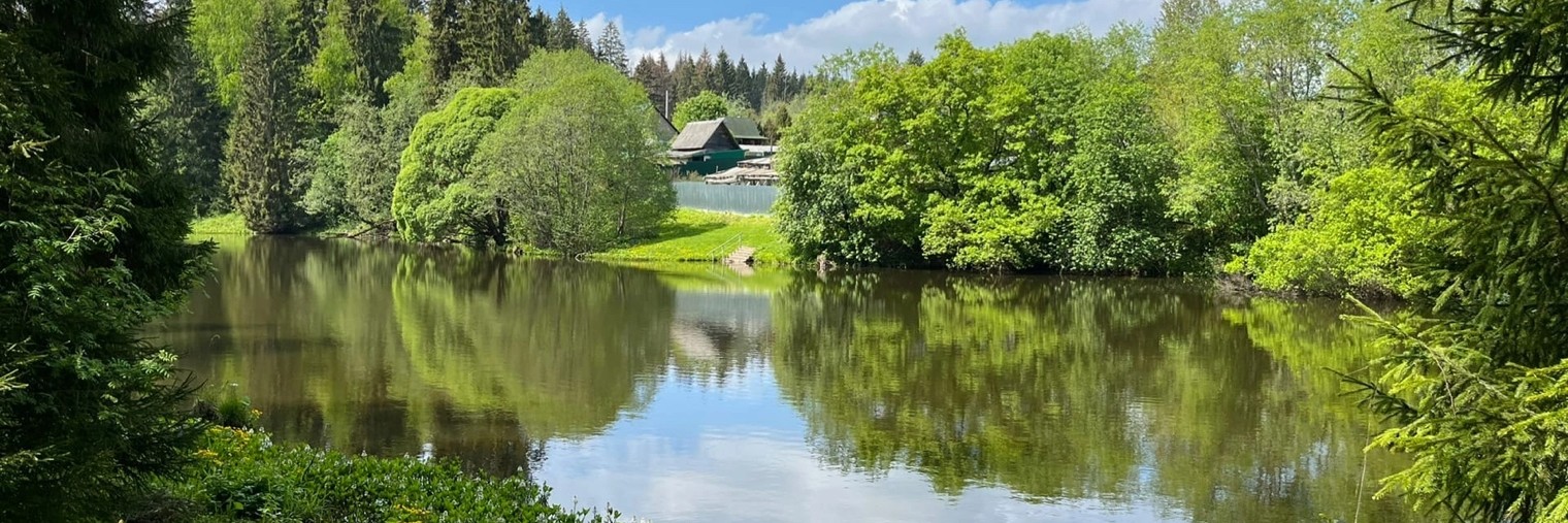 Виктор Ассоров - музыкант, поэт